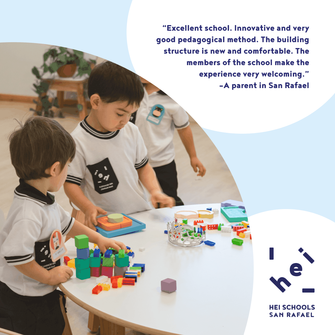 HEI Schools Case Studies